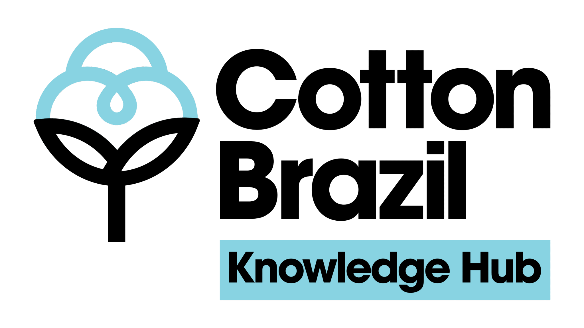 India’s Imports from Brazil Increased Tenfold – Cotton Brazil Knowledge Hub